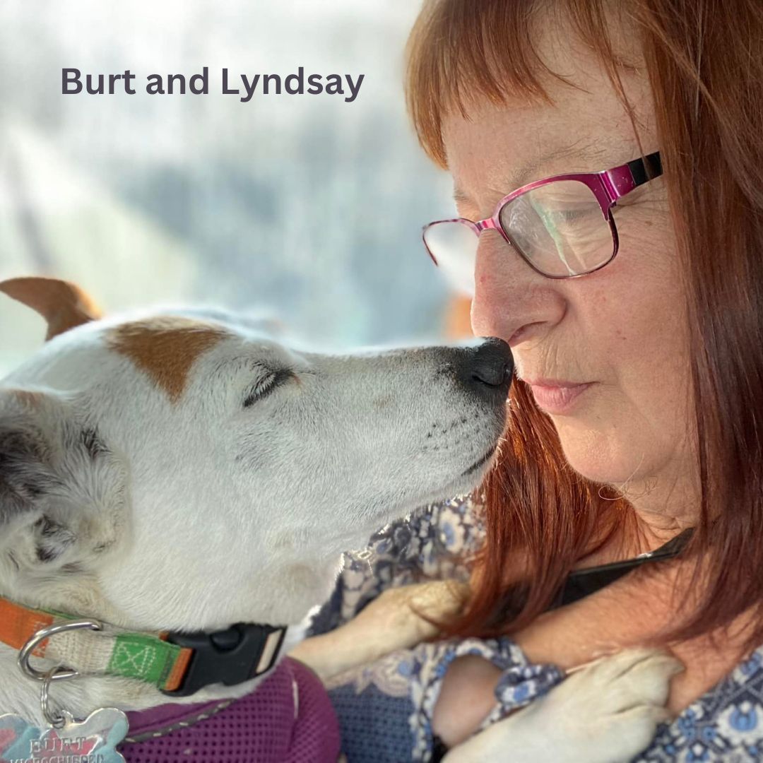 Paw Prints and Pain Relief: How My Jack Russell, Burt, Guides Me ...
